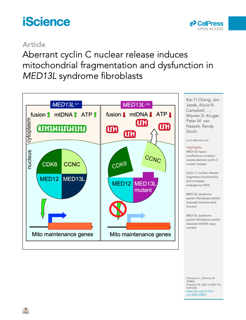Aberrant cyclin C nuclear release induces mitochondrial fragmentation ...